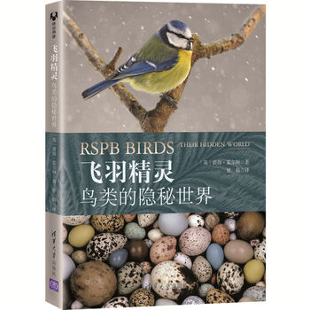 [正版图书] 飞羽精灵：鸟类的隐秘世界 [英]彼得·霍尔顿著曾晨 清华大学出版社 978730255