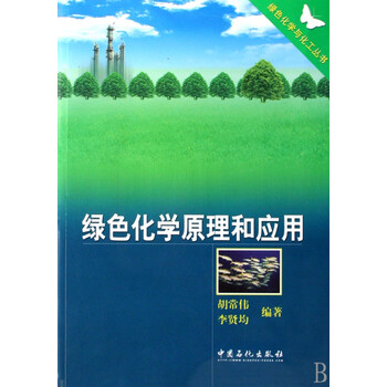 绿色化学原理和应用/绿色化学与化工丛书
