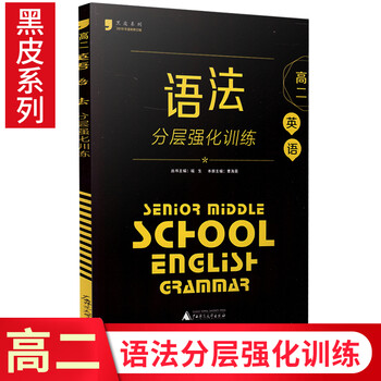 黑皮英语 高二英语语法分层强化训练 高中生分类训练题型专项练习 语法全解全练