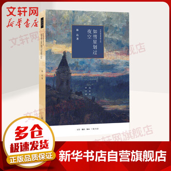 如彗星划过夜空 近距离看美国之四