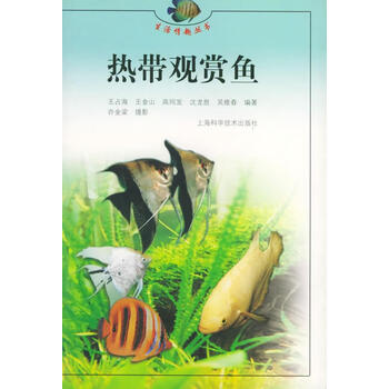 热带观赏鱼