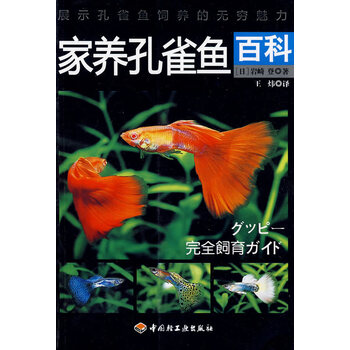 家养孔雀鱼百科