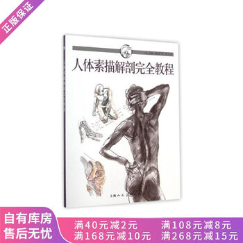 人体素描解剖完全教程