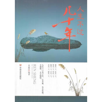 人生不过几十年袁丽萍励志与成功9787517103141
