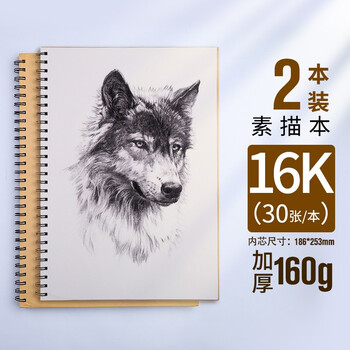 2本素描本A4美术生手绘专用素描纸16K小学生用空白图画本儿童幼儿园8k涂鸦本加厚成年初学者动漫彩铅纸画本 16K-160克（买一送一共2本）
