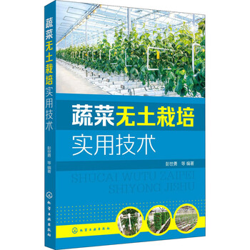 蔬菜无土栽培实用技术