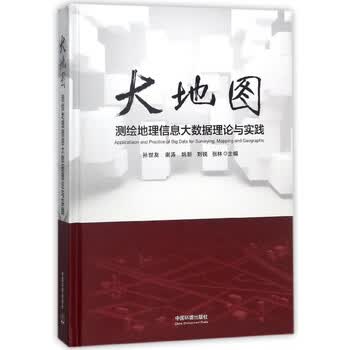 大地图(测绘地理信息大数据理论与实践)(精)