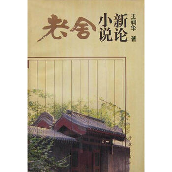 老舍小说新论