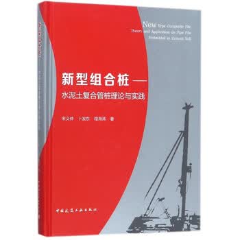 新型组合桩--水泥土复合管桩理论与实践(精)
