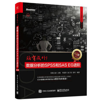 胸有成竹数据分析的SPSS和SAS EG进阶 经管之家 编 电子工业出版社