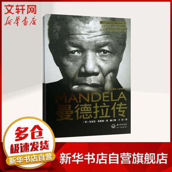 曼德拉传 