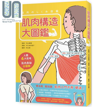肌肉构造大图鉴 港台原版 石山修盟 枫书坊 医疗常识