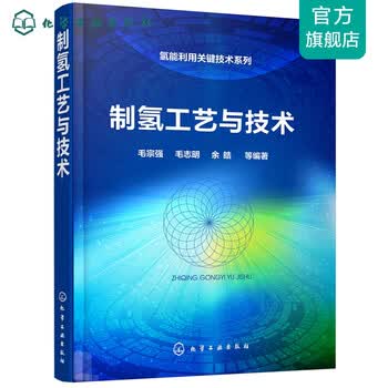 氢能利用关键技术系列--制氢工艺与技术