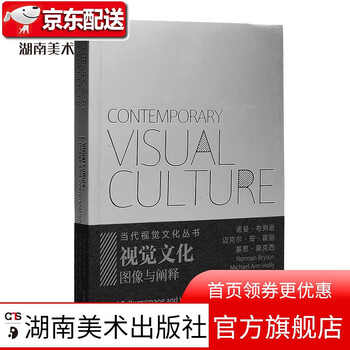 当代视觉文化图书：视觉文化 图像与阐释 广告叙事与图像解读 湖南美术出版社