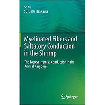 Myelinated Fibers and Saltatory Conduction in th