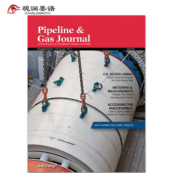 【单期可选】Pipeline&Gas Journal 美国管道与天然气杂志 2020/21年月刊 英 2020年7月刊
