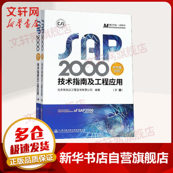 SAP2000中文版技术指南及工程应用(2册)