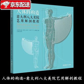 人体的构造 意大利八大美院艺用解剖教程人体动态解剖学艺用人体解剖理解人体形态人体结构解剖学基础教程