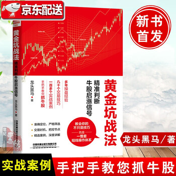 黄金坑战法：精准判断牛股启涨信号 龙头黑马 炒股票短线操作体系 选股买卖风险控制黄金投资散户