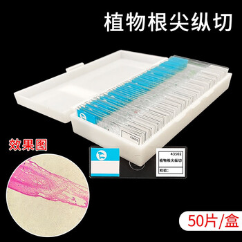 生物切片永久装片人血涂片人体四大组织字母e上字初高中神经装片 植物根尖纵切50片