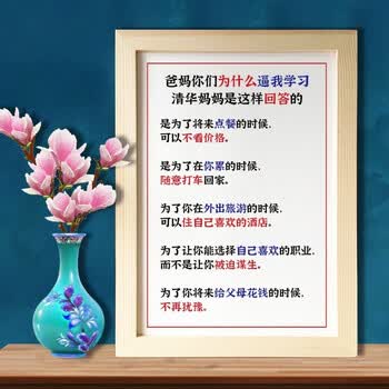 写给儿子的话 激励孩子独立上进女儿励志书画书房摆台挂墙画框学生座右铭实木相框UTK UTK24 爸妈你们为什么逼我学习清华妈妈这样回答 A3(挂墙专用)