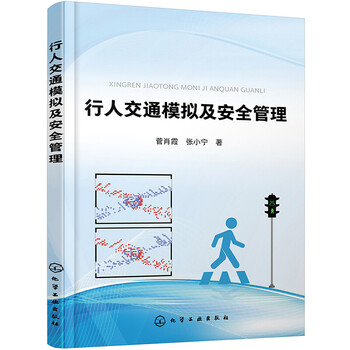 行人交通模拟及安全管理