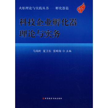 科技企业孵化器理论与实务