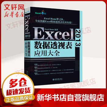 Excel 2013数据透视表应用大全
