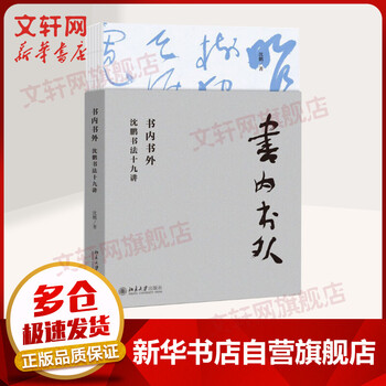 书内书外：沈鹏书法十九讲 2020中国好书