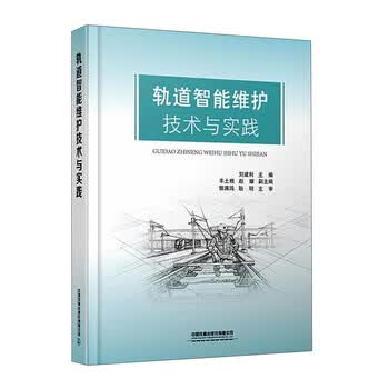 轨道智能维护技术与实践