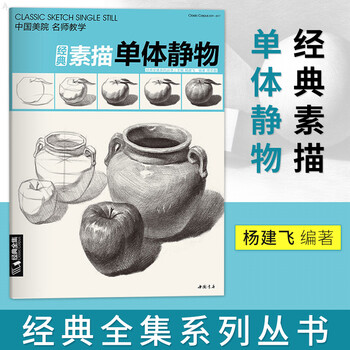 【】静物素描书经典素描单体静物经典全集系列丛书杨建飞铅笔结构素描技法绘画书籍美术风暴临摹范本