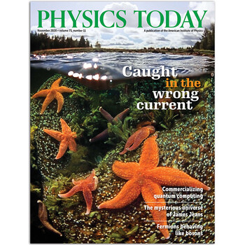 【单期可选】Physics Today 今日物理学杂志 2020/21年月刊 2020年11月刊