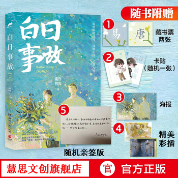 【赠送随机签名,立牌+钥匙扣+色纸+透卡】 白日事故 校园青春文学  高台树色新作 校园情感双男主