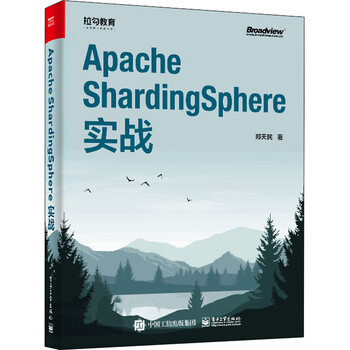 Apache ShardingSphere实战 图书