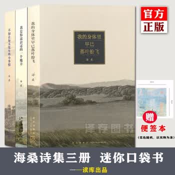 正版下单减5 海桑的诗集全3册：我是你流浪过的一个地方+不如让每天发生些小事情+我的身体里早已落叶纷飞