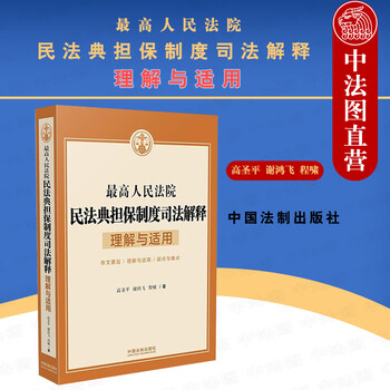 高人民法院民法典担保制度司法解释理解与适用 高圣平 法制 条文主旨法律适用实务参考书担保合同