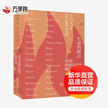 生命的燃点 30位思想巨匠的顿悟时刻