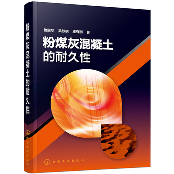 [正版图书]粉煤灰混凝土的耐久性