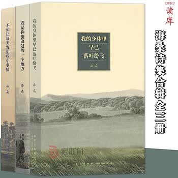 预售正版 海桑诗集全三册 我是你流浪过的一个地方+不如让每天发生些小事情+我的身体里早已落叶纷飞 读库
