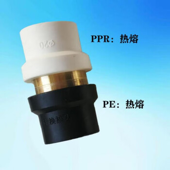 PPR转换接头PVC胶粘PERT直接PB热熔PE塑料水管直通承插转变材料 20PPR-PE铜(2个)【图片 价格 品牌 报价】-京东