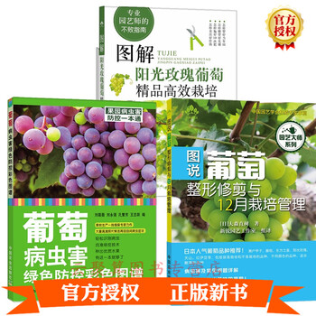 2021图解阳光玫瑰葡萄精品高效栽培+病虫害绿色防控彩色图谱整形修剪与12月栽培管理大棚棚室葡萄种植