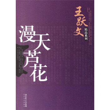 漫天芦花【正版图书】