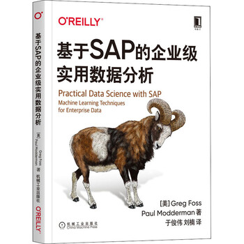 基于SAP的企业级实用数据分析 图书