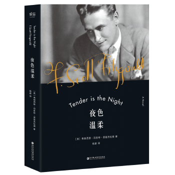 夜色温柔 弗朗西斯·司各特·菲兹杰,译者 杨蔚 ,果麦文化 出品