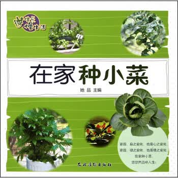 在家种小菜(逆生长慢生活)