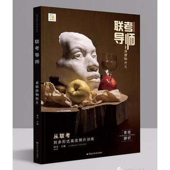 联考导师素描静物照片 【正版书】