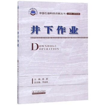 井下作业(2006-2015年)/中国石油科技进展丛书