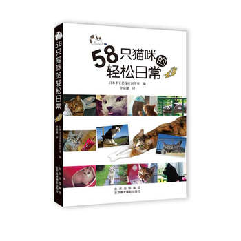 58只猫咪的轻松日常 摄影集 22位猫家长 58只猫咪的日常生活 DIY猫咪玩具 房间布局 其他国家