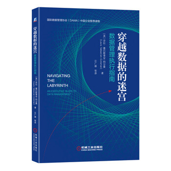 穿越数据的迷宫 数据管理执行指南 aura Sebastian Coleman 计算机 DAMA O