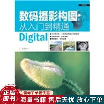 数码摄影构图从入门到精通